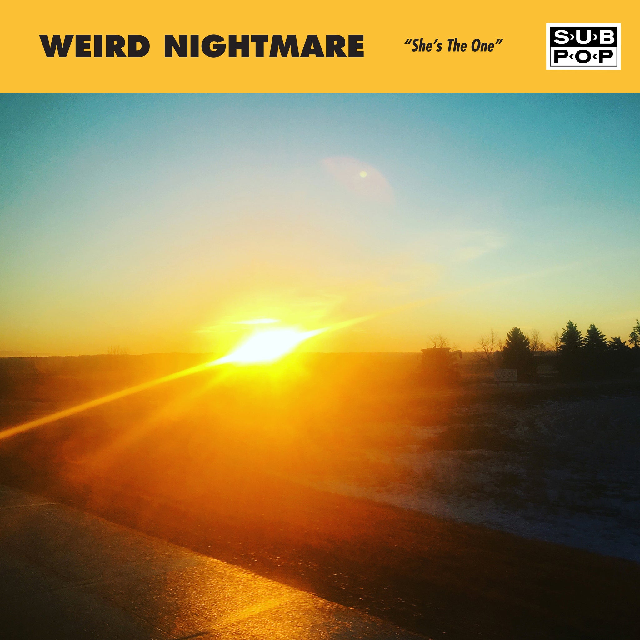 Weird Nightmare - She's the One - Sub Pop Official Store – Sub Pop Mega ...